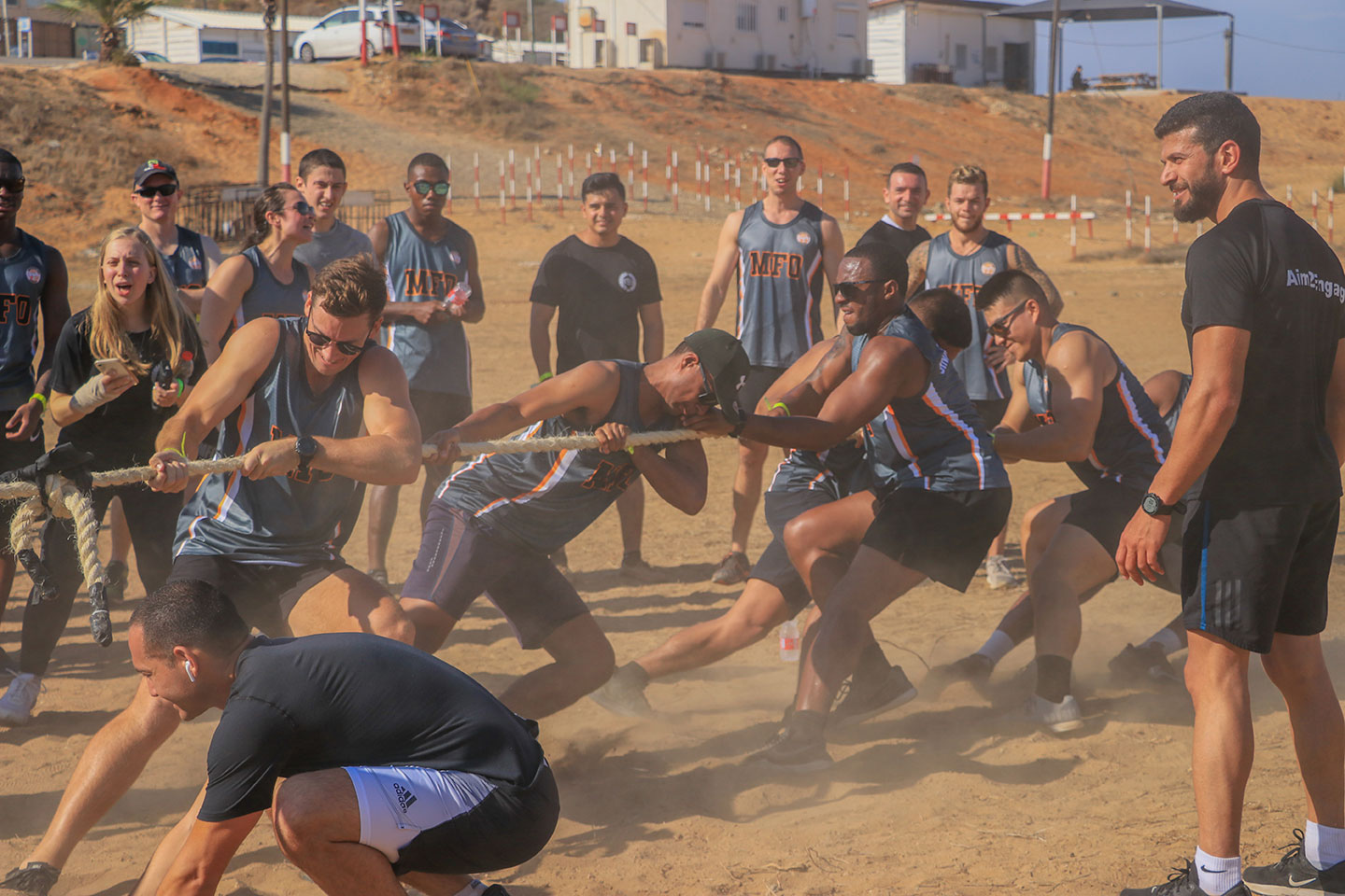 MFO - Life in the Sinai