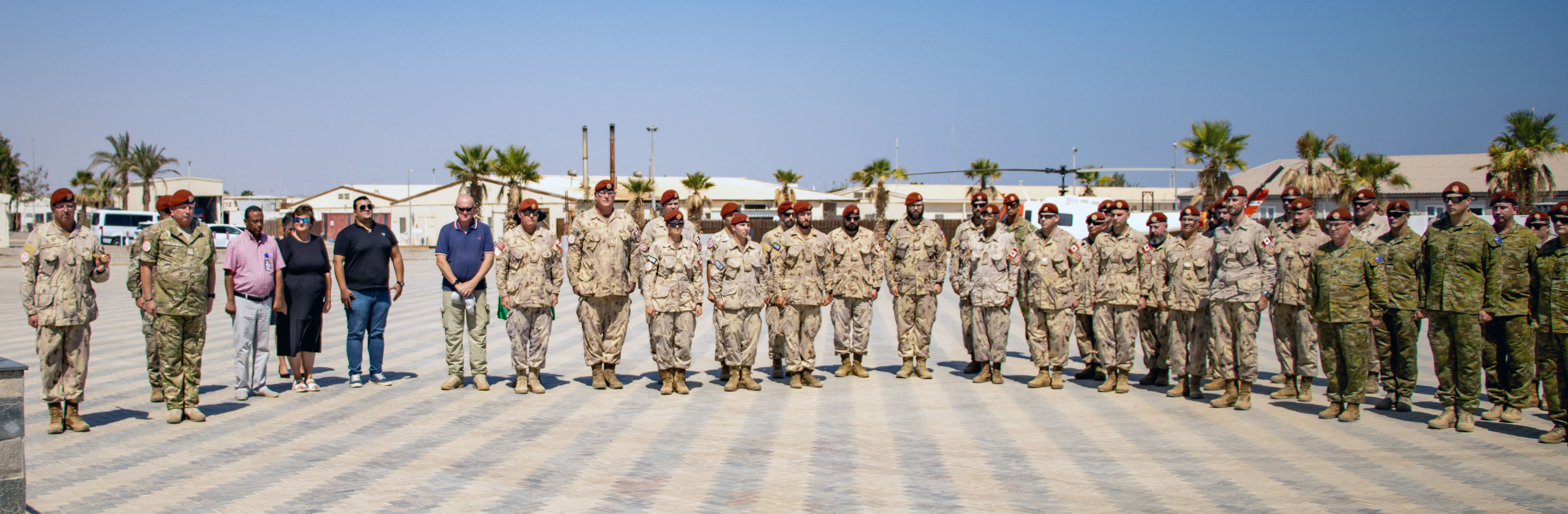 MFO - Life in the Sinai